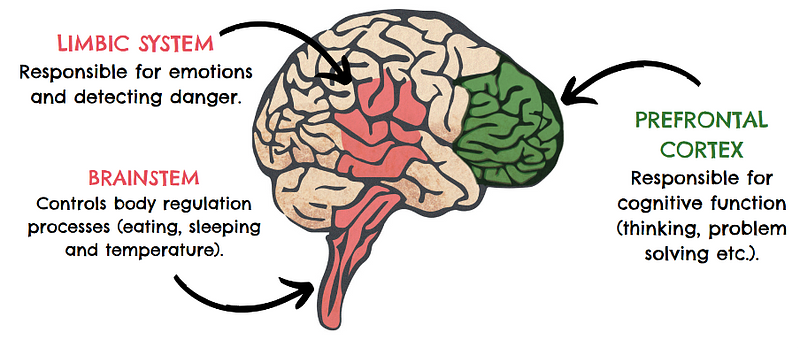 Reactive and Reflective Responses - SCCR